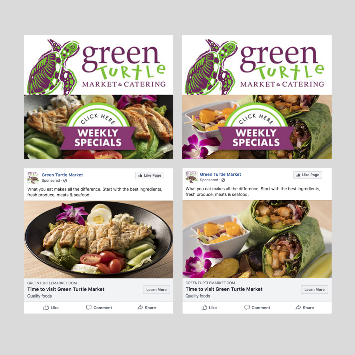 Green Turtle Portfolio - SKY ADVERTISING